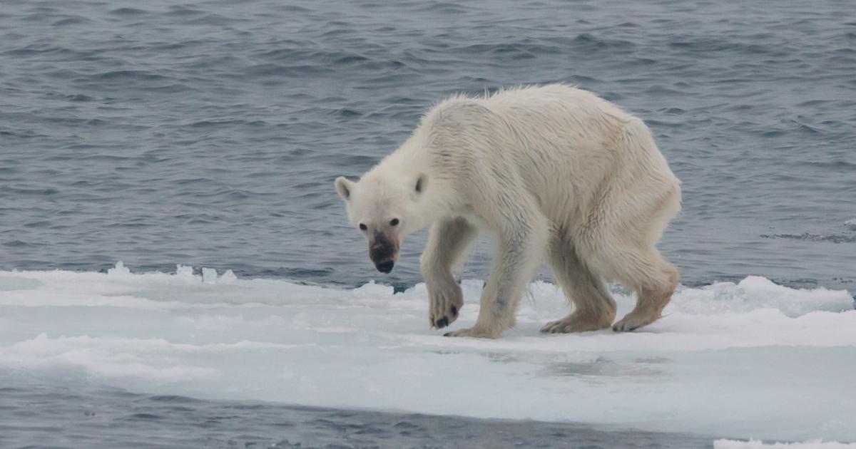 Pour nier le réchauffement climatique, pas besoin de varier ses sources ... Pour nier le réchauffement climatique, pas besoin de varier ses sources ...